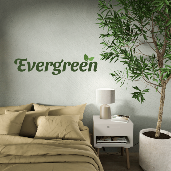 Design Your Own Evergreen Home: Sustainable Tips for a Timeless ...