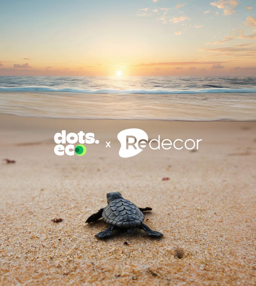 Join us and Dots.Eco in Saving Sea Turtles » Redecor